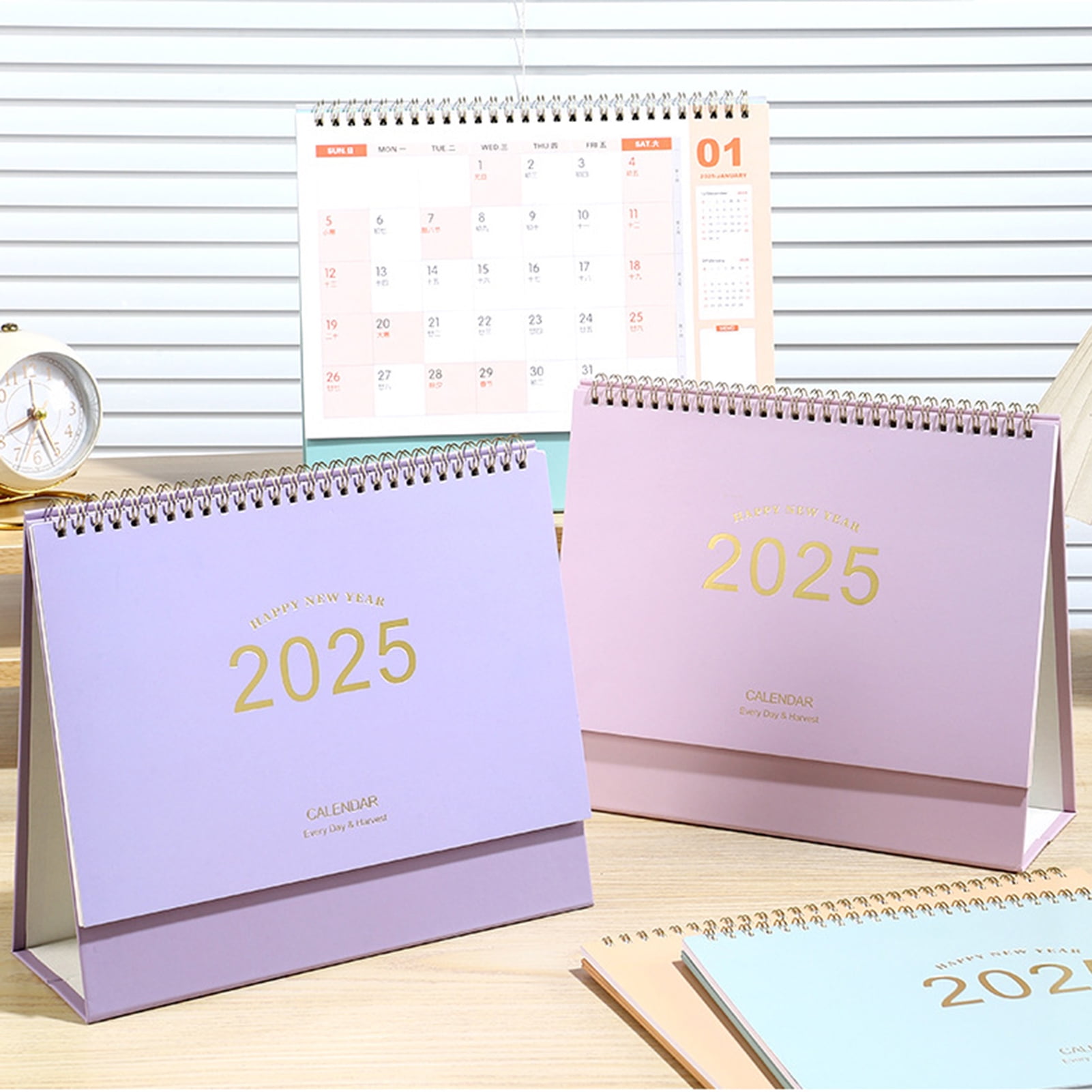 BIWEIBO 2025 Desk Calendar, Standing Flip-Top, Spiral Binding, Daily ...