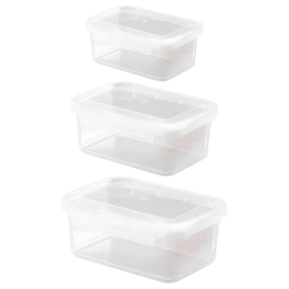 BIZHUA 3 Piece Food Fresh Keeping Box, Plastic Airtight Storage ...