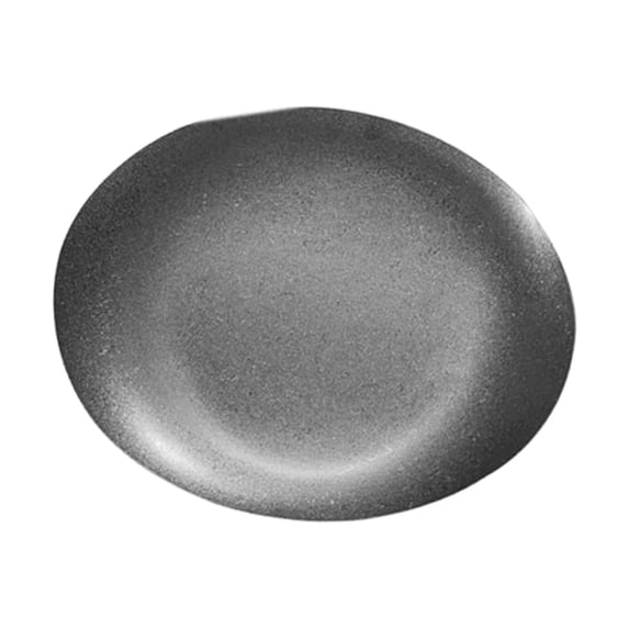 BIZHUA Irregular Oval Shallow Dish, Retro Silver Stainless Steel Dinner ...