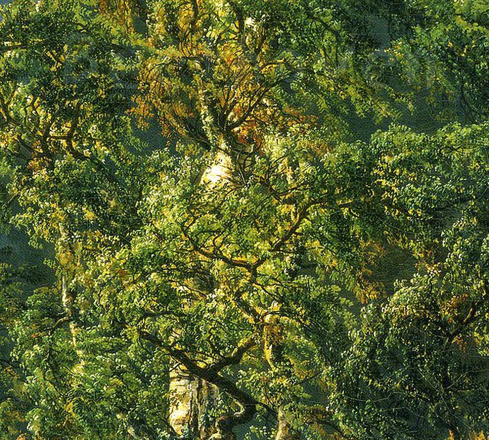 BJ RN Solum - Sonatas for Fortepiano & Cello - Music & Performance - CD - Walmart.com