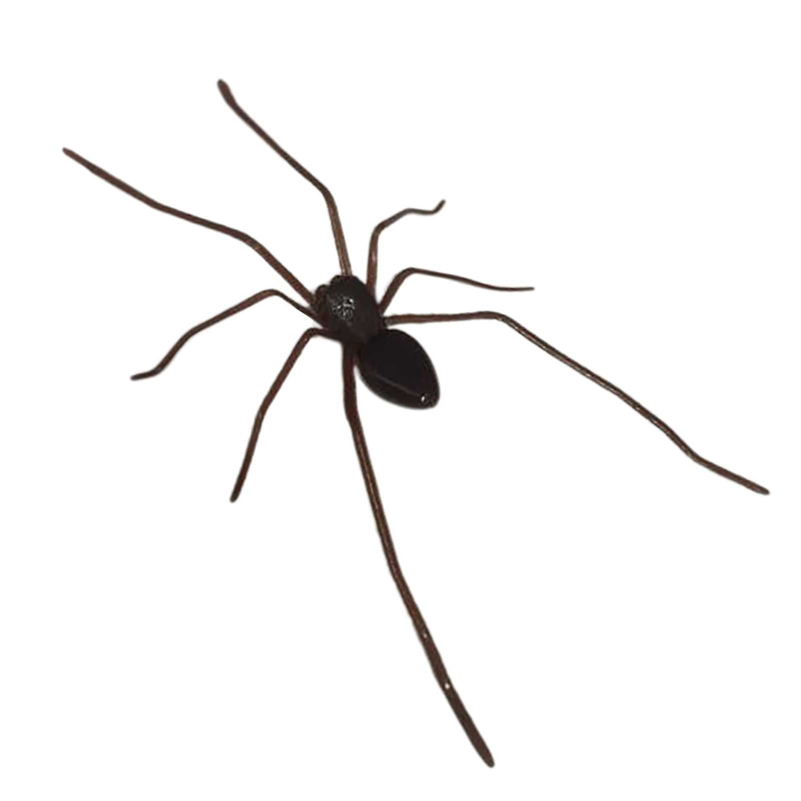 BKBP 3D Realistic Fridge Spider Decorations Strong Magnetic Attachment ...