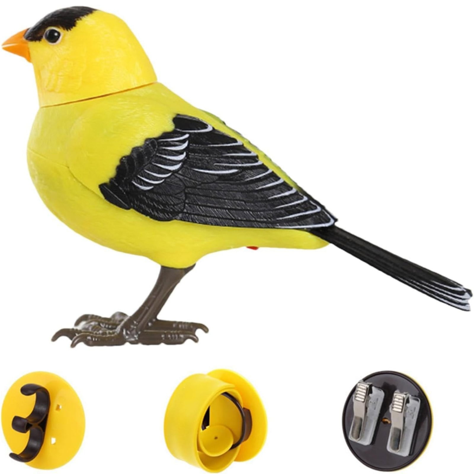 BKBP Chirping Bird Toy with Realistic Sounds, Battery-Operated ...
