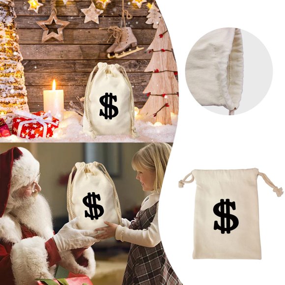 Money Bag Costume