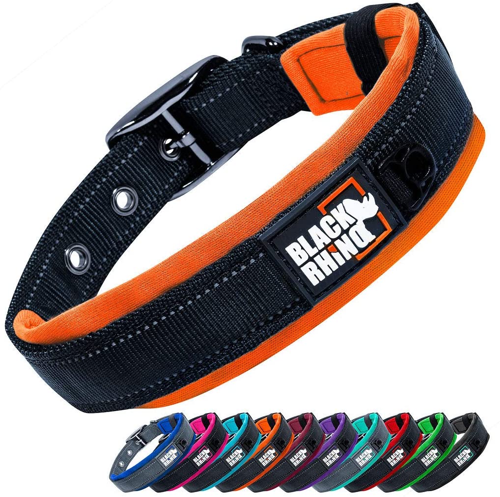 DT Systems Micro-iDT Additional Dog Collar Strap, Orange, 55062 ...