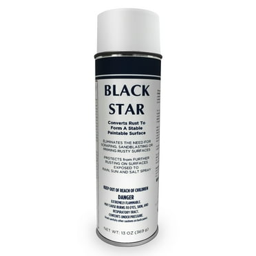 Zero Rust 62SP Black Metal Paint, Rust Prevention Inhibitor Coating ...