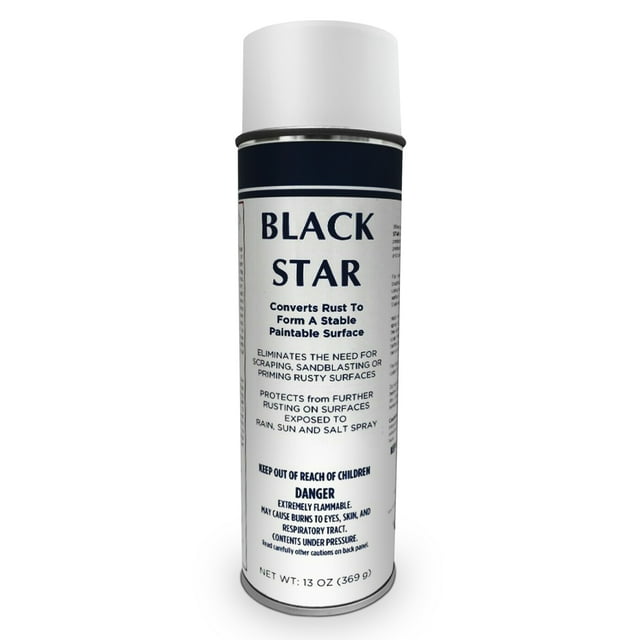 BLACK STAR Rust Converter - Paint Performance Enhancer, Aerosol Spray ...