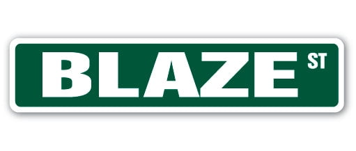 BLAZE Street Sign Childrens Name Room Sign | Indoor/Outdoor | 30" Wide ...