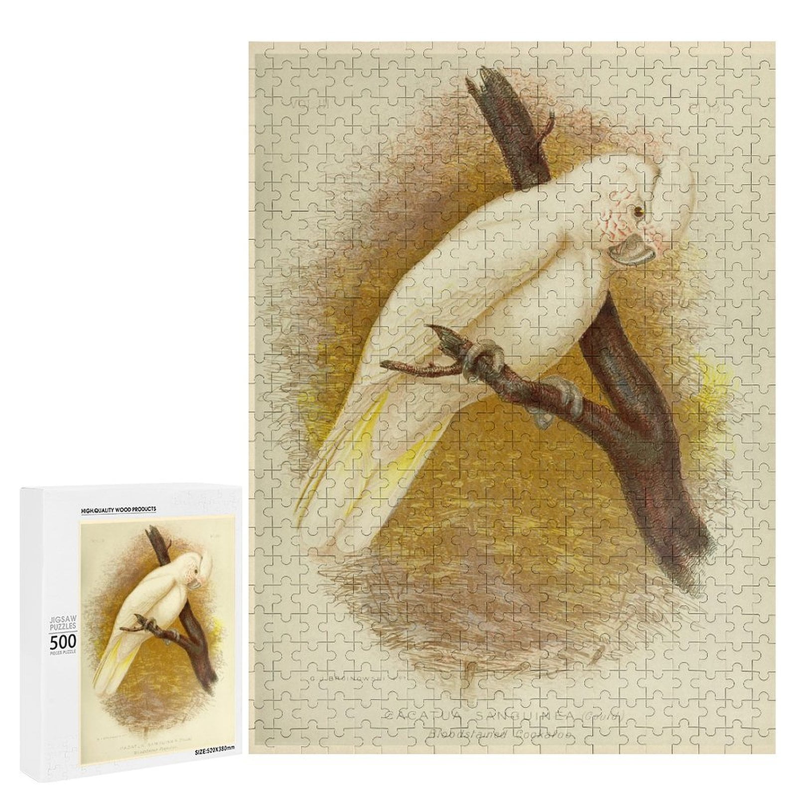BLOOD-STAINED COCKATOO Print - Vintage Lithograph 1890 Style- Jigsaw ...