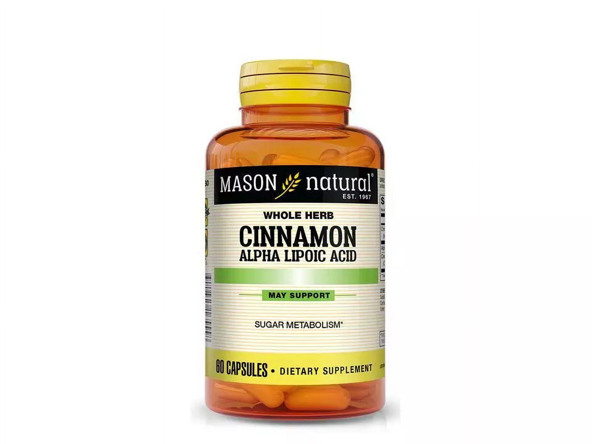 BLOOD_SUGAR_SUPPORT_Alpha_Lipoic_Acid_Chromiun_Picolinate_&_Cinnamon_60 ...