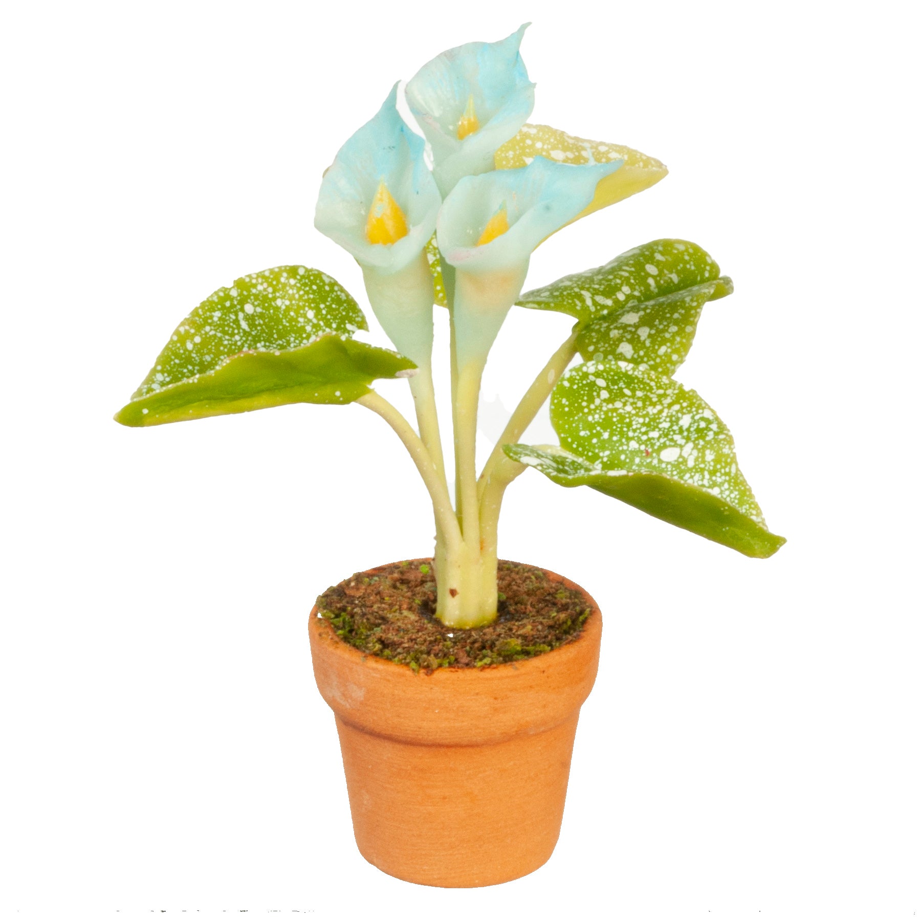 BLUE CALLA LILY IN POT^ Miniature Scale - Walmart.com
