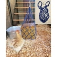 BLUE Chicken Coop Flock Block Bird Seed Hanging Bag Veggie Treat Holder ...