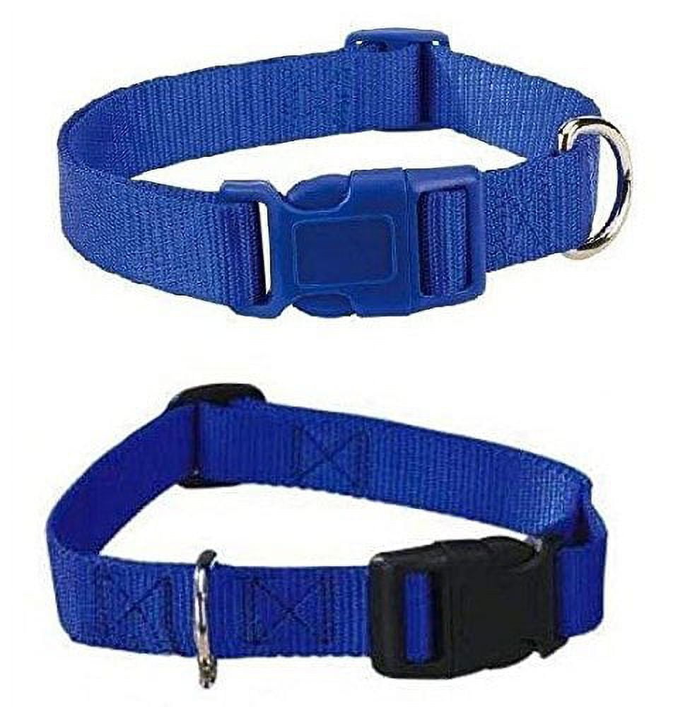 BLUE DOG COLLAR BULK LOT PACKS 4 Sizes Nylon Litter Band Puppy Rescue ...
