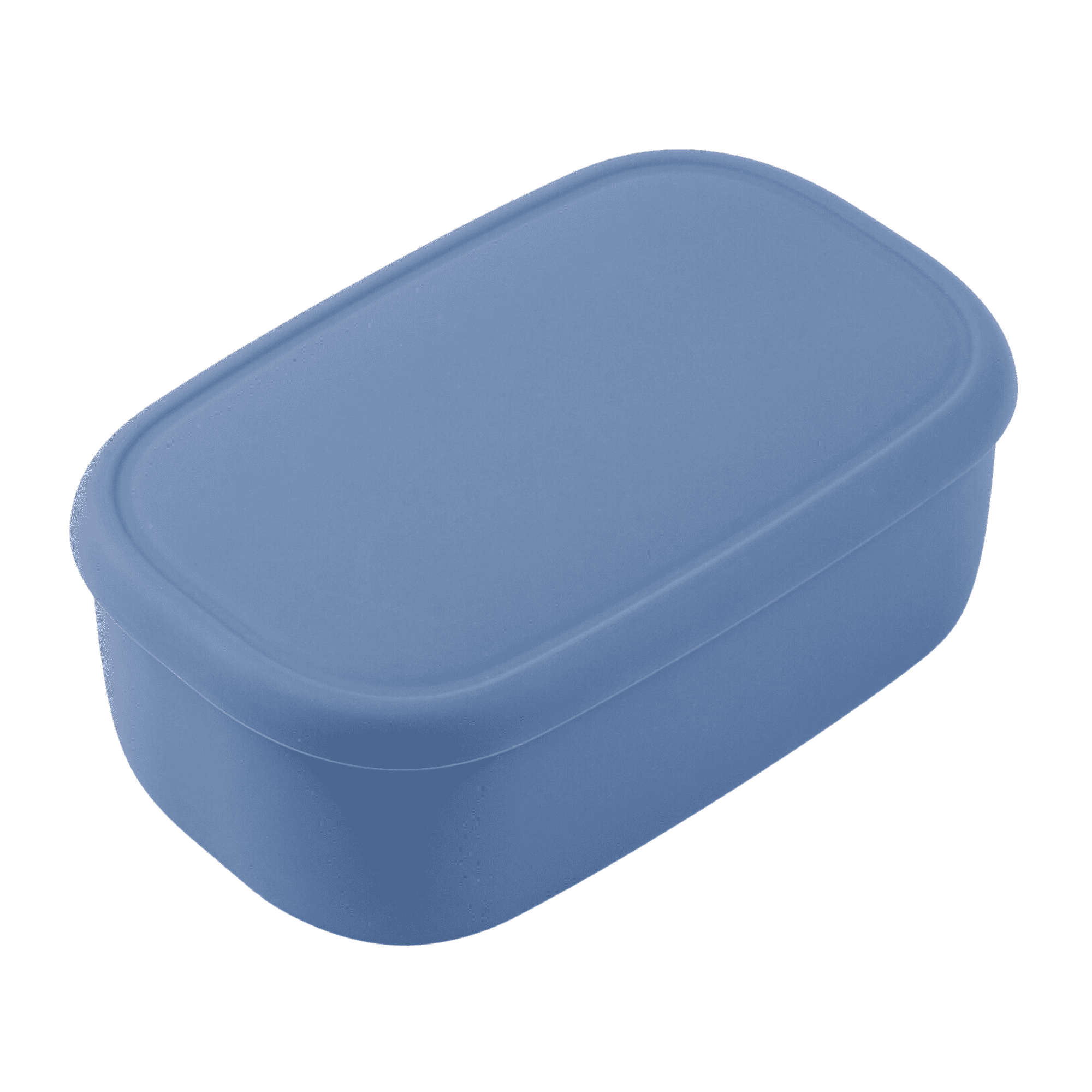 BLUE GINKGO Large Silicone Container, Airtight Food Storage | (47oz ...