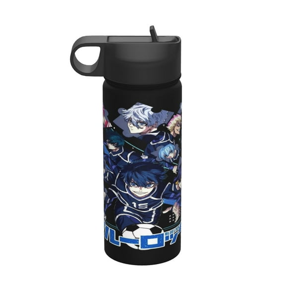 BLUE LOC-,K Insulated Stainless Steel Wide Mouth Water Bottle with Flex ...