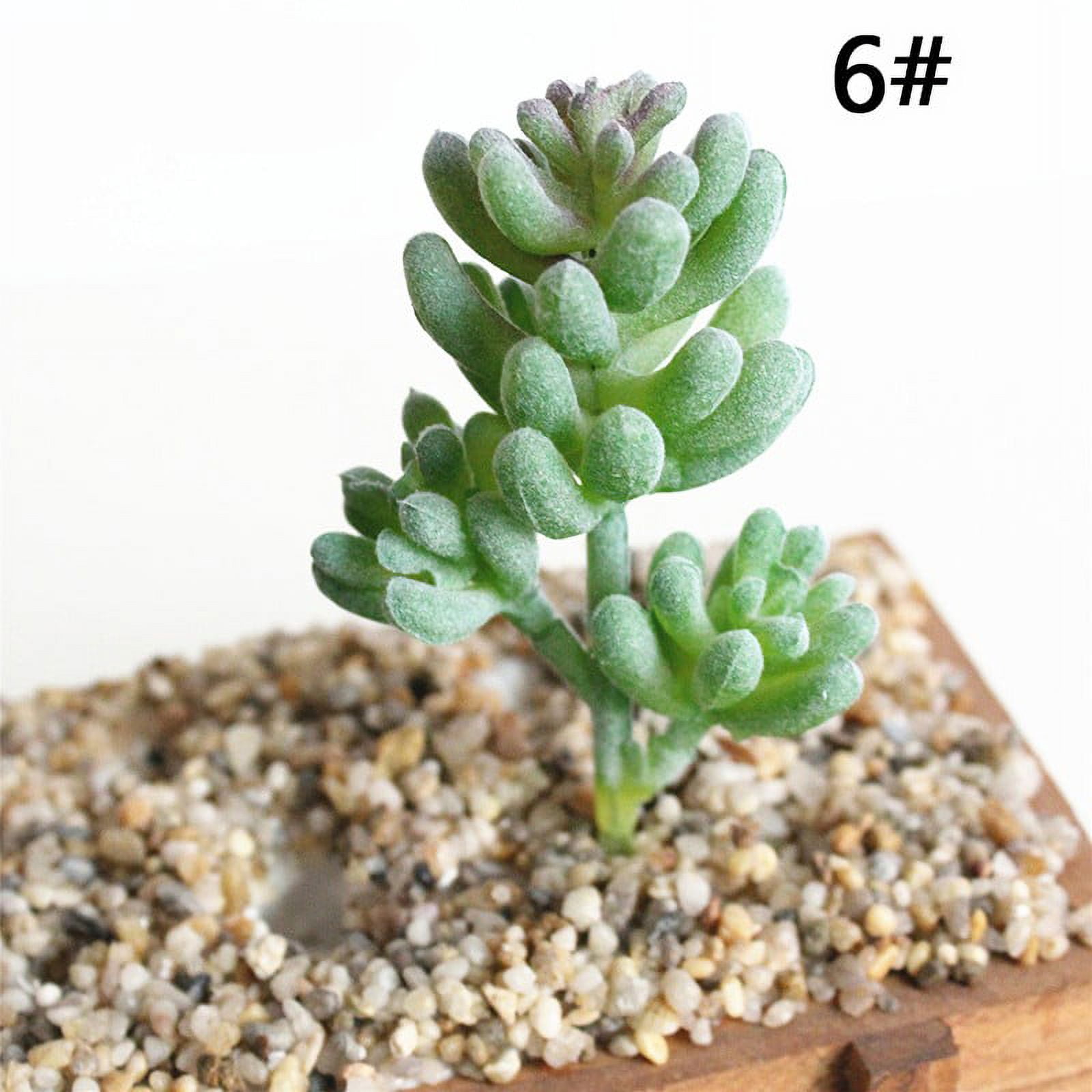 BLUESON Artificial Plastic Succulent Plant Cactus Echeveria Flower Home ...