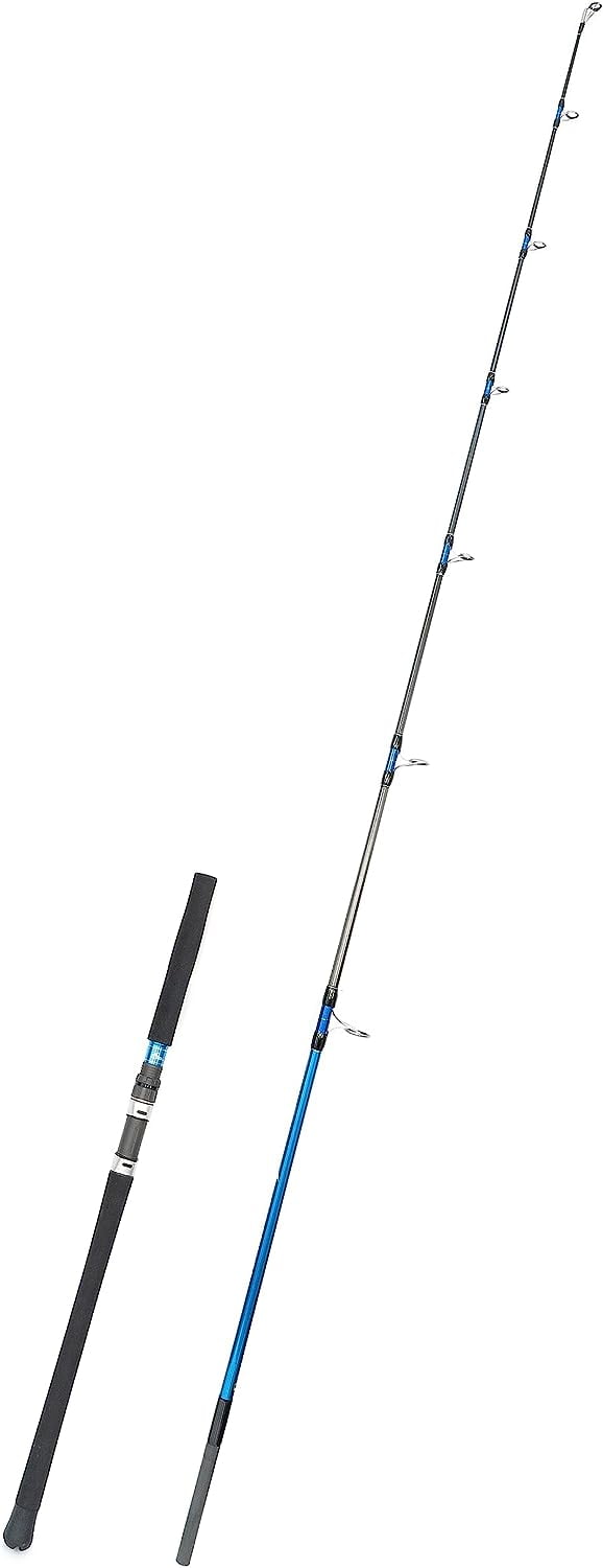 BLUEWING Bluefin Spinning Fishing Rod 2 Pieces Lightweight Carbon Fiber ...