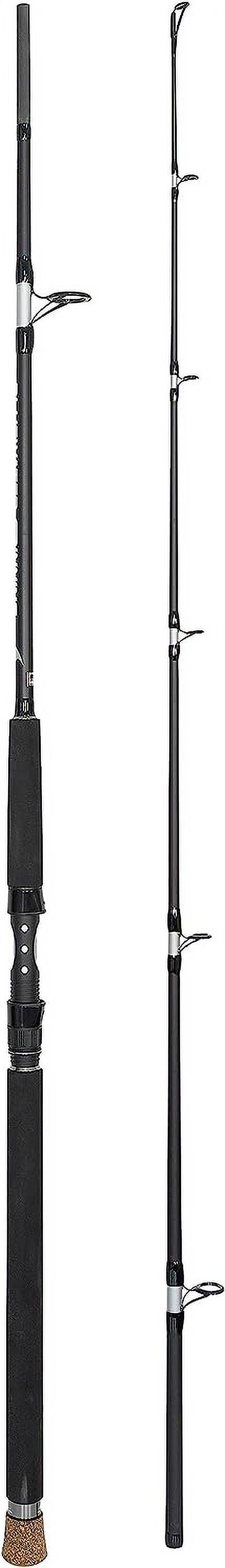 BLUEWING Bluewater Spinning Fishing Rod 2 Pieces Carbon Fiber Fishing ...