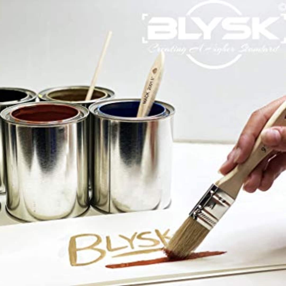 BLYSK Empty Metal Paint Cans with Lids, 1 Pint Size. 16oz, 50 Pack ...