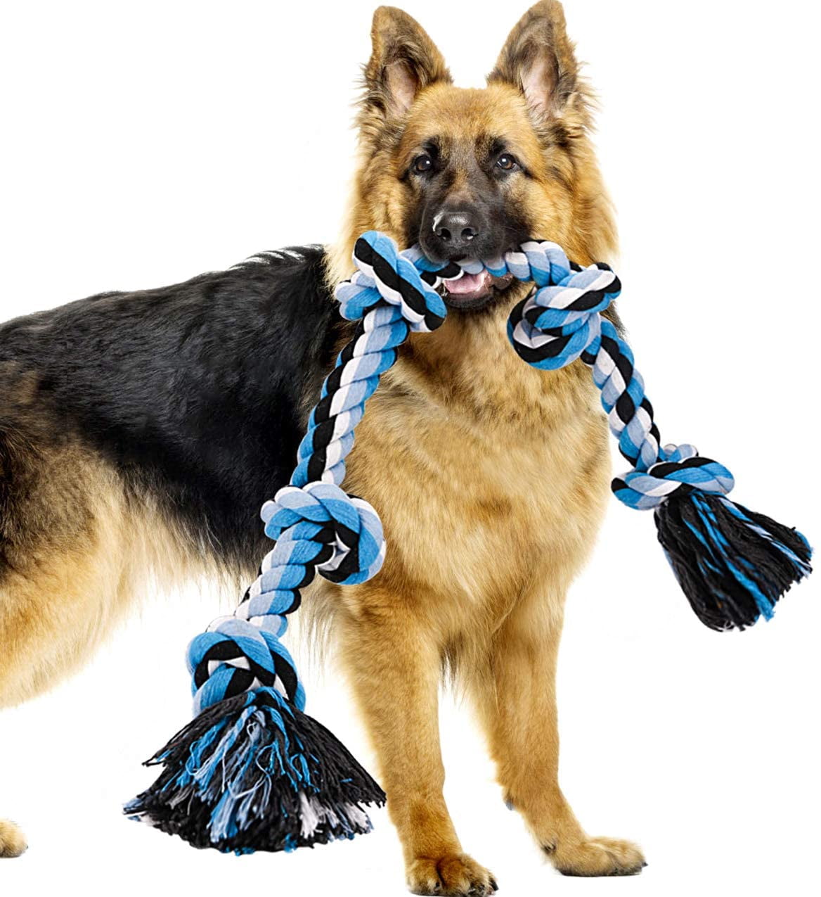 Vibrant Life Tough Buddy Farm Friends with Rope Dog Toys - Walmart.com
