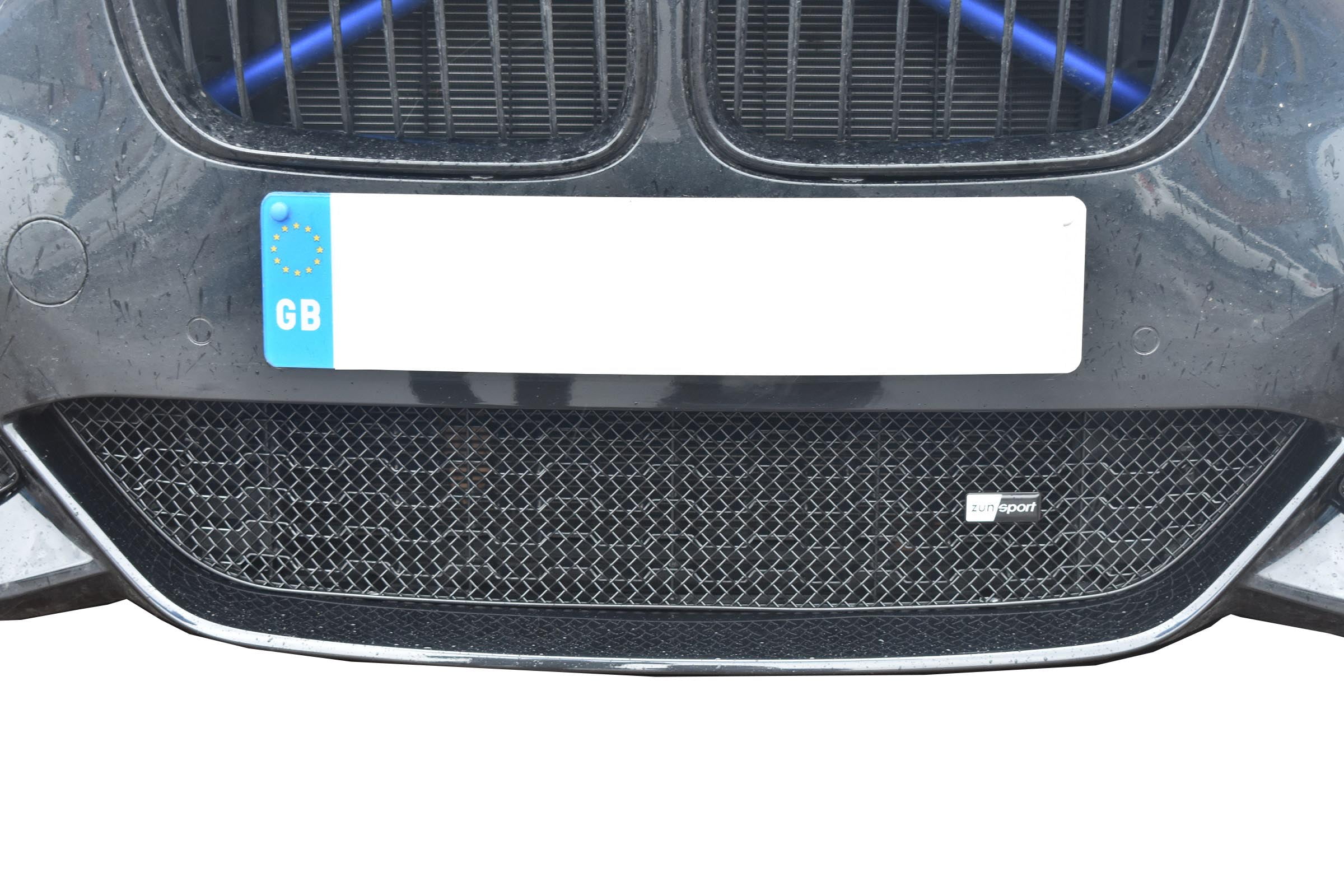 BMW M140i - Lower Grill - Silver Finish (2016 - ) - Walmart.com