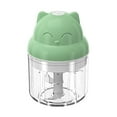 BN-LINK Electric Garlic Chopper, 250ML Mini Vegetable Chopper With USB ...