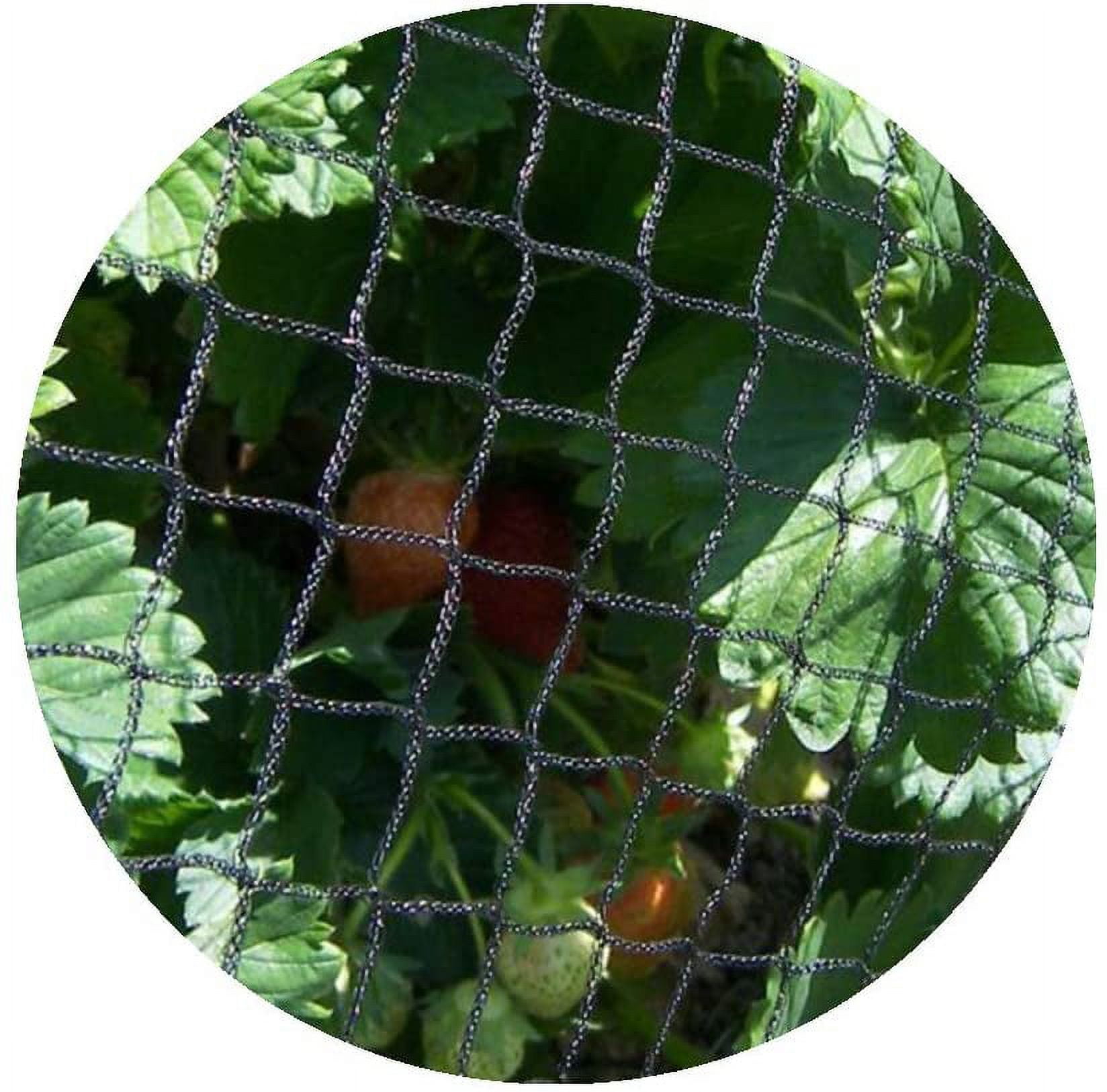BN205 19mm Anti Bird Fruit Crop Protection Netting - 2m x 5m - Walmart.com