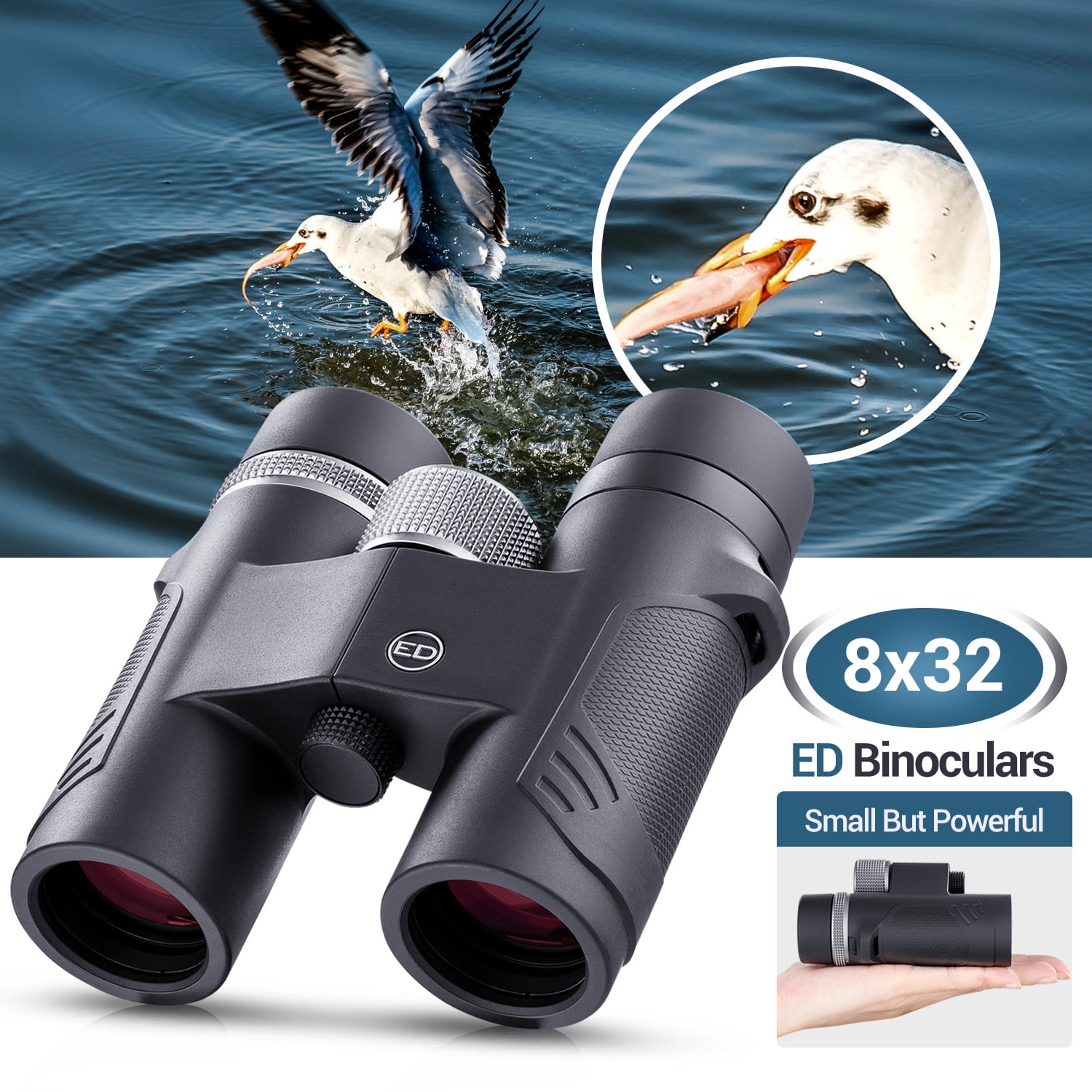 BNISE 8X32mm Professional Binoculars with ED Glass -ED Optics ...