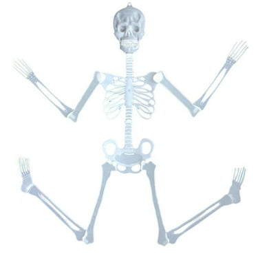Bwiyojiz Home Decorations, 90cm Halloween Skeleton Prop Human Full Size ...