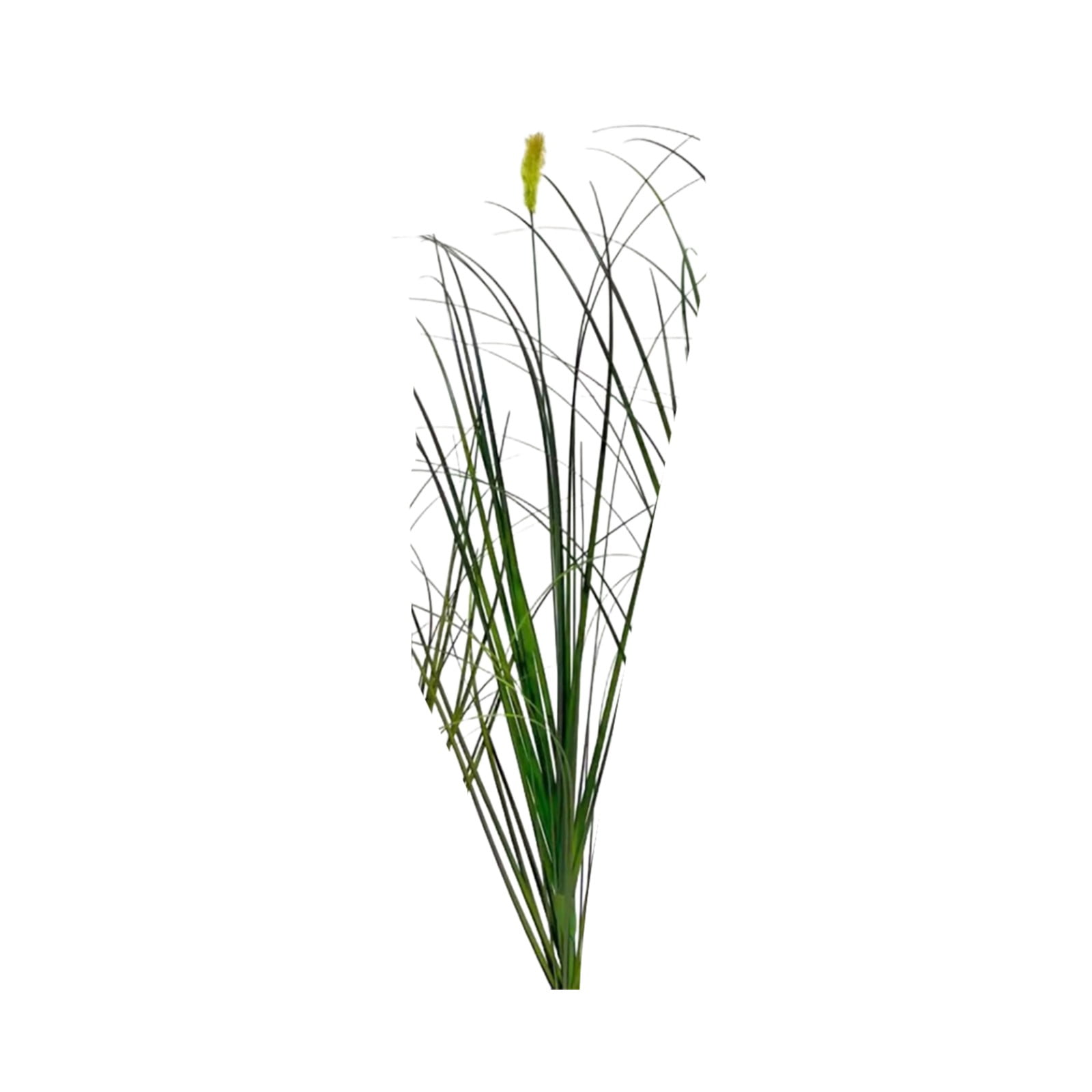 BNNG Artificial Grass Plants Outdoor Fake Shrubs Wheat Grass Cattails ...