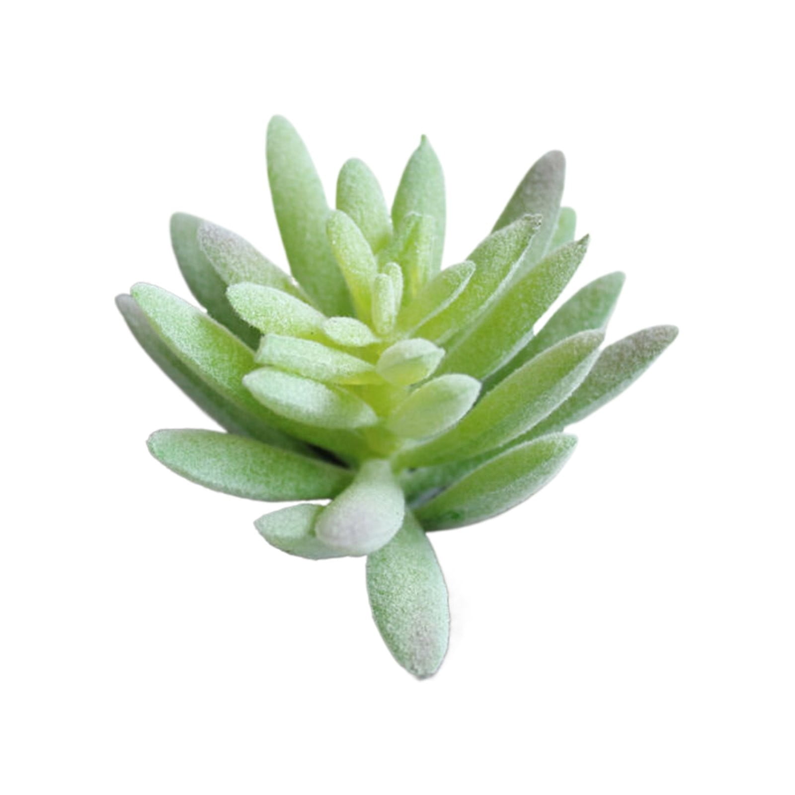 BNNG Artificial Succulent Plants - Faux Succulents Unpotted Fake ...