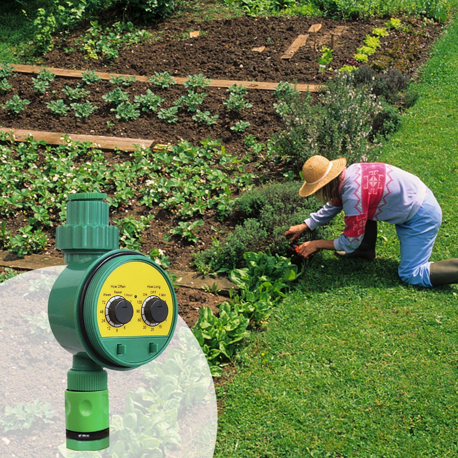 BNNG Auto Watering Timer, Electronic Home Garden Water Timer Knob Type ...