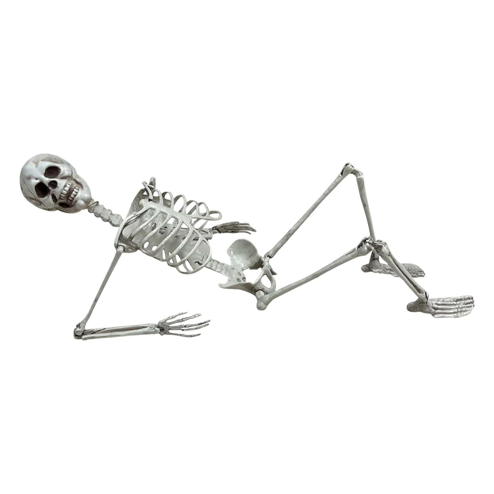 BNNG Halloween Skeleton - Life Size Full Body Realistic Human Bones ...