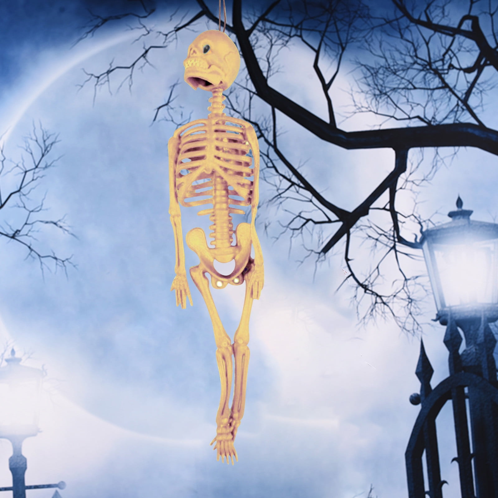 BNNG Mini Human Skeleton Model for Anatomy, Full Body Human Skeleton ...