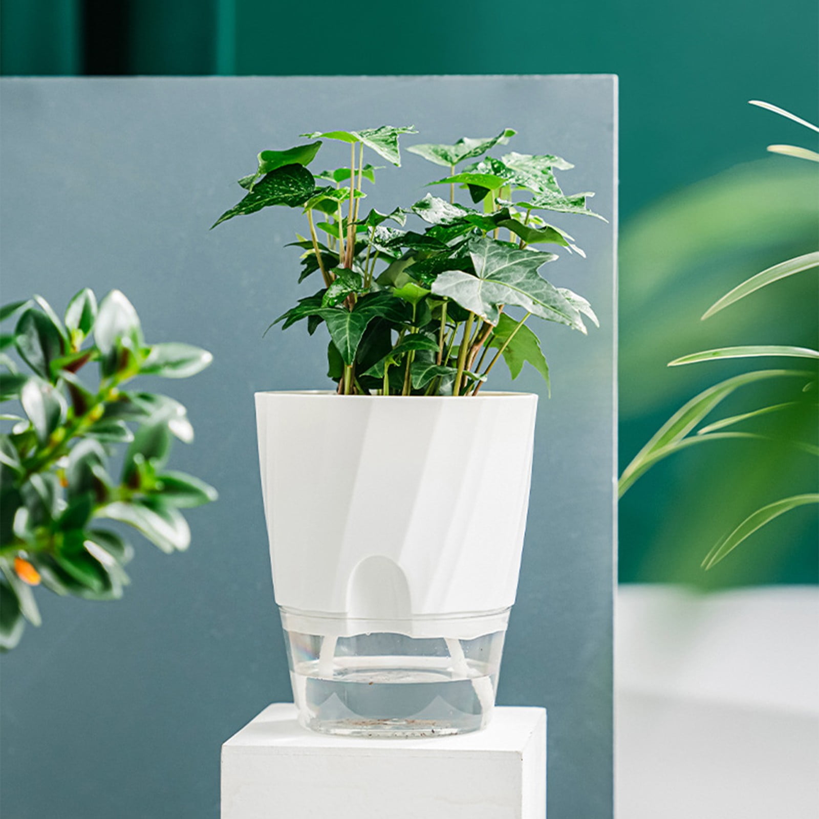 BNNG Self Watering Plant Pot , Plant Pot with Drainage Hole and Large ...