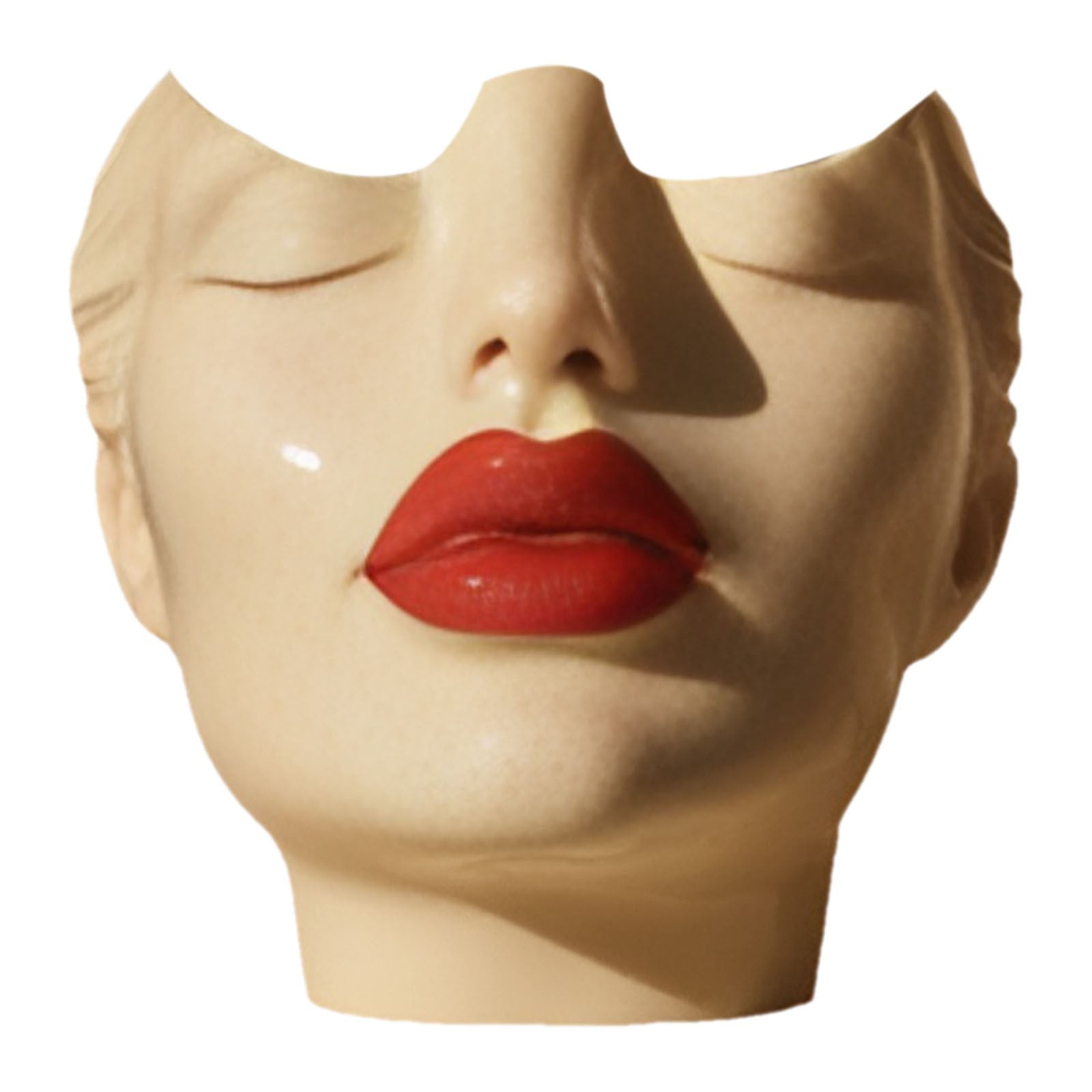 BNNG White Resin Face Vase, Female Form Modern Vases Head Half Bust ...