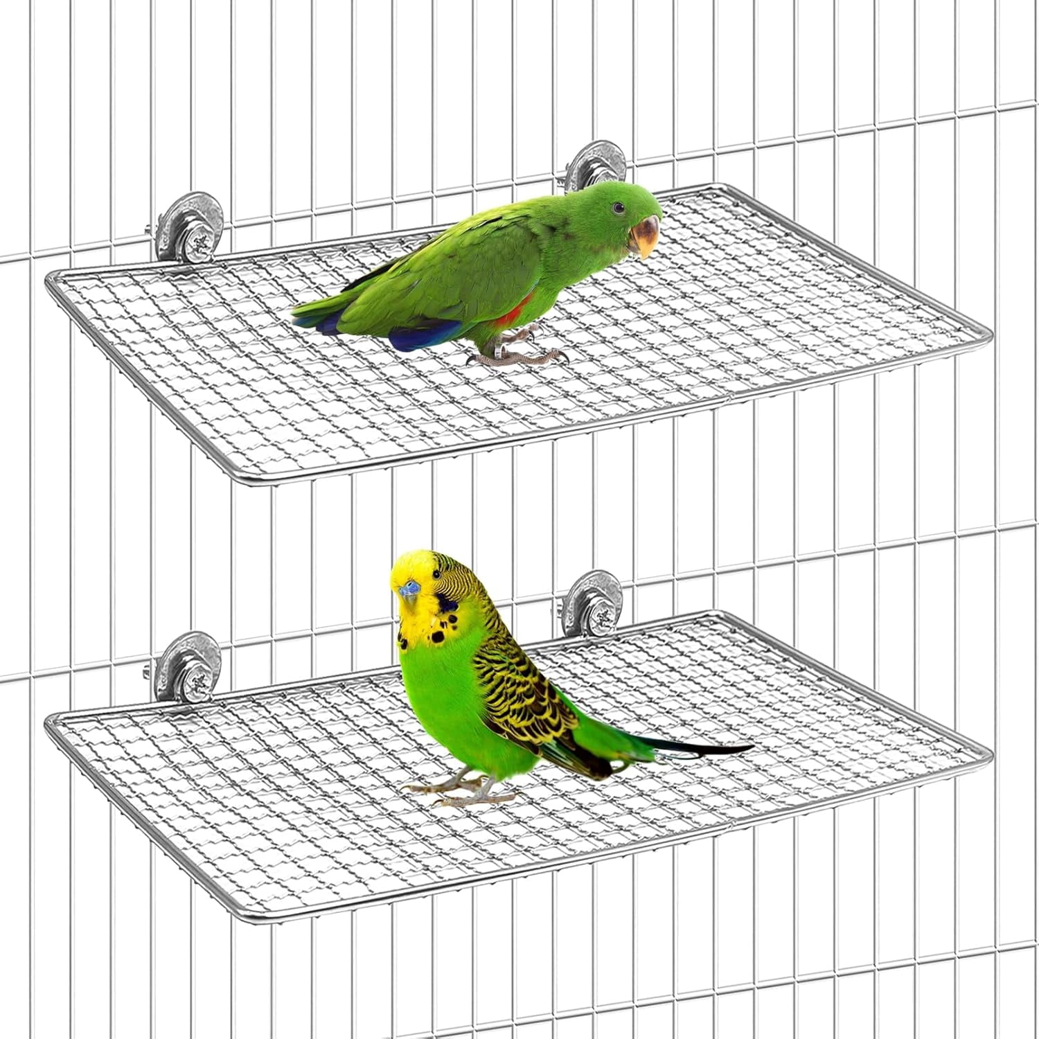 BNOSDM 2 Pack Bird Perch Platform Stainless Steel Birds Perches Parrot ...