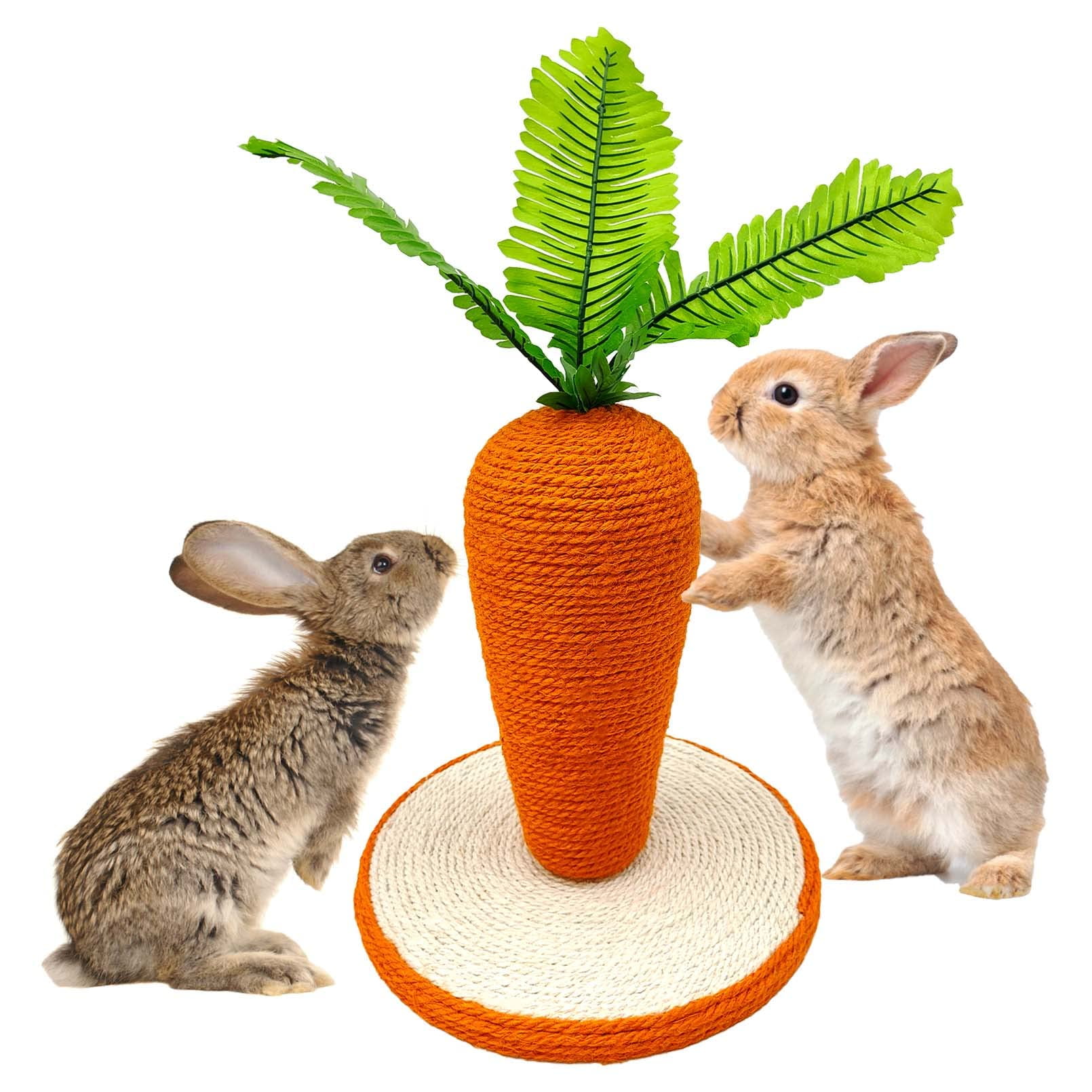 Bunny Wood guarantee Lettuce Tree Foraging