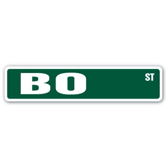 BO Street Sign Childrens Name Room Sign | Indoor/Outdoor | 24" Wide ...