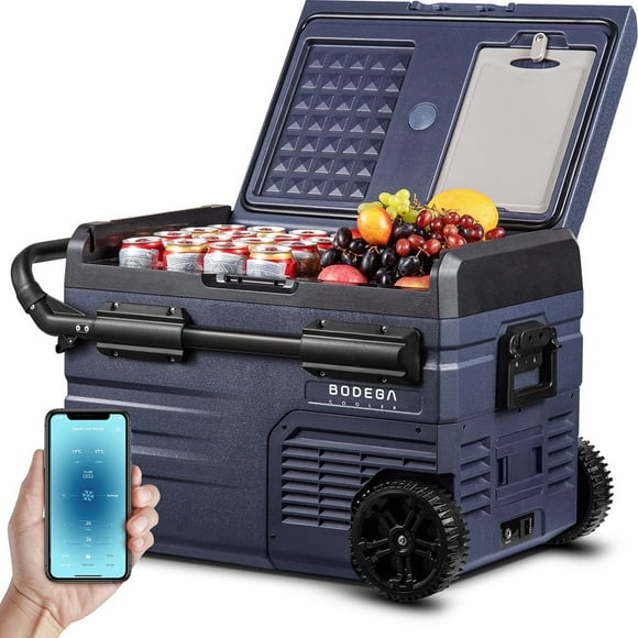 Car Coolers in Coolers - Walmart.com