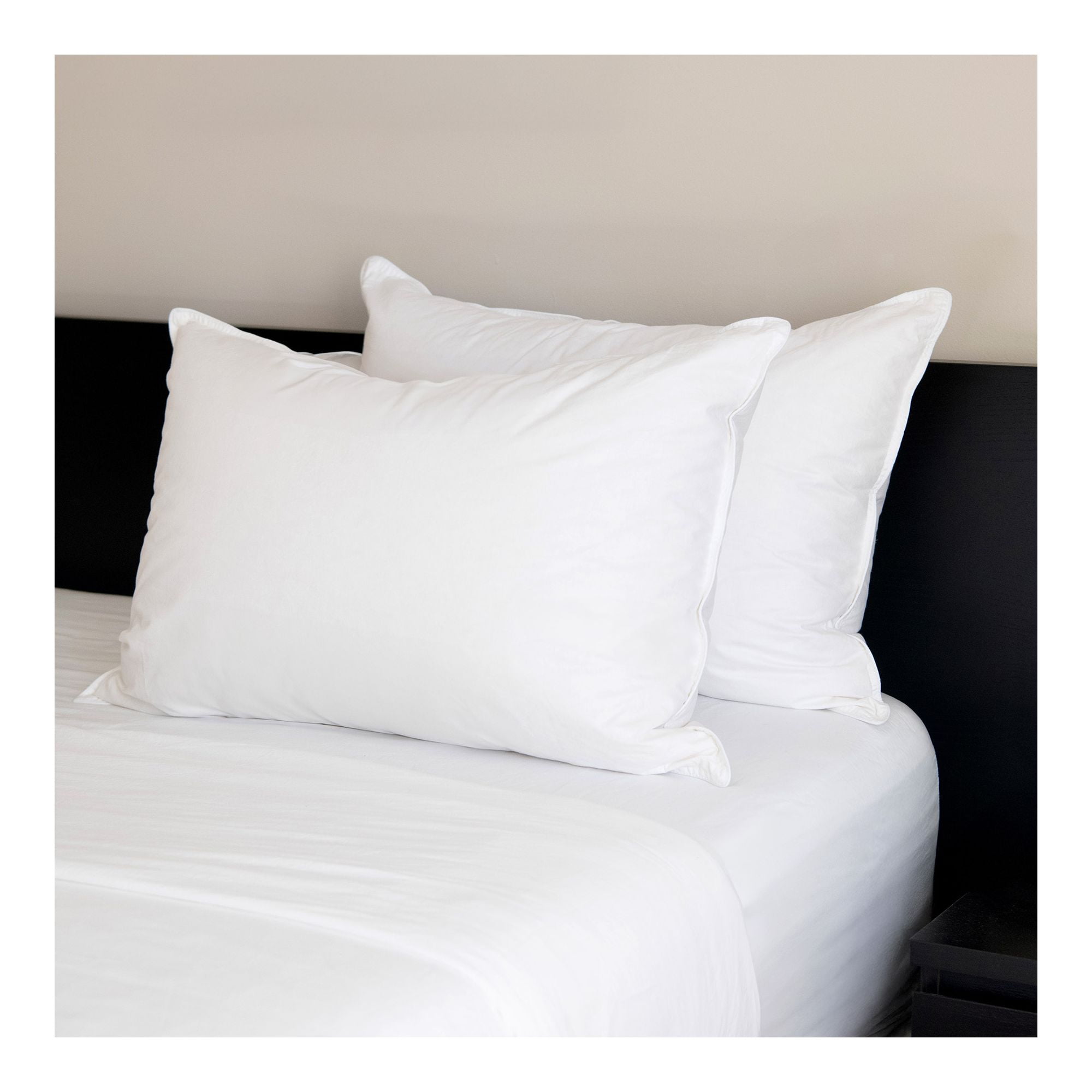 BOKSER Basics Hospitality Hotel Pillow Cotton Cover with Recycled Fill ...