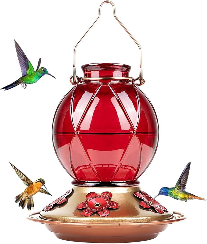 BOLITE Hummingbird Feeder, Glass Hummingbird Feeder for Outdoors, Meshy ...