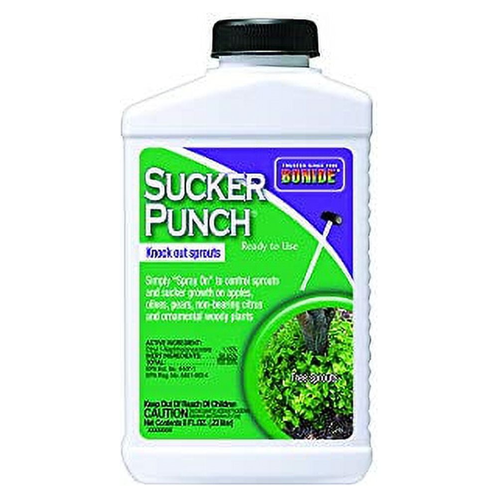 Bonide Products Ready to Use Sucker Punch for Trees, Stops Sprouting ...