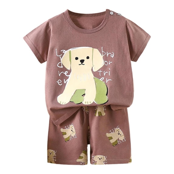 BOOMNY Toddler Boys Clothes Sets Cartoon Graphic Short Sleeve Tshirts ...