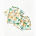 BOOMNY Toddler Boys Hawaii Outfits Tropical Graphic Short Sleeve ...