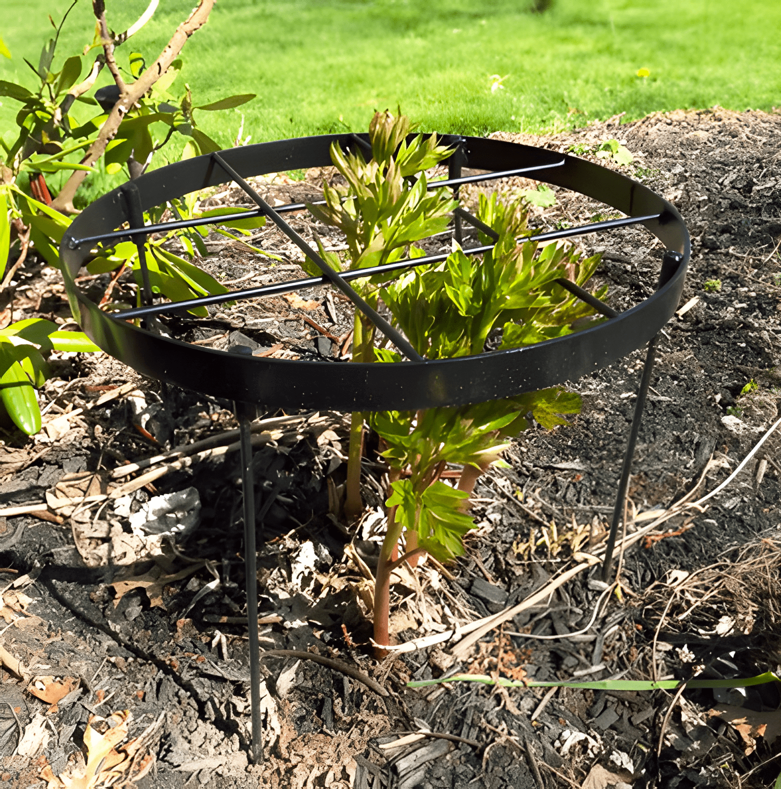 BOOXMIMI Large Peony Cages and Supports 18.9"x23.6" - Durable Round ...