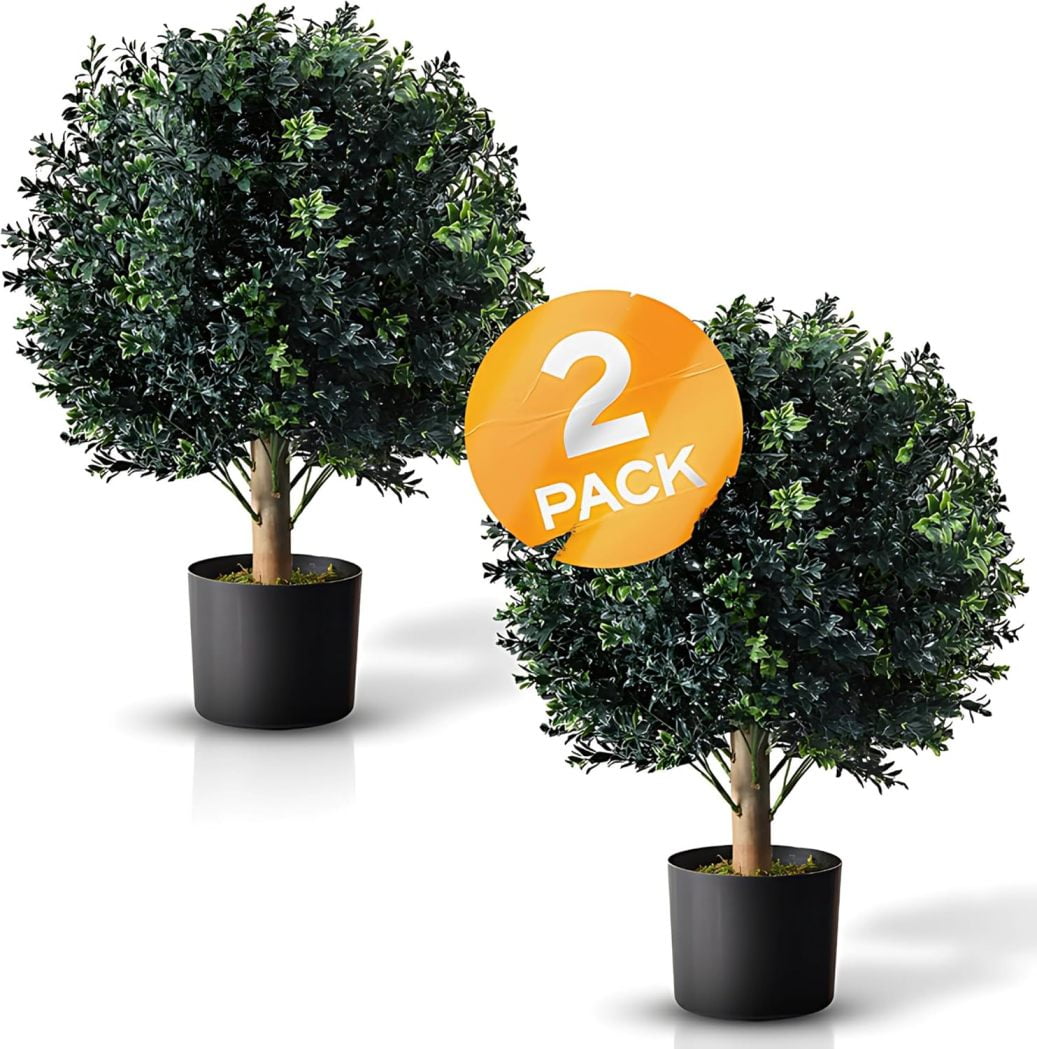 BOTARO SCXP Set of 2 - Pre-Potted 24" High Ball Shaped Boxwood Topiary- 16" Diameter - Plastic ...