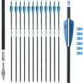 BOWSOUL 30 Inch Carbon Arrows for Target Practice and Hunting with ...
