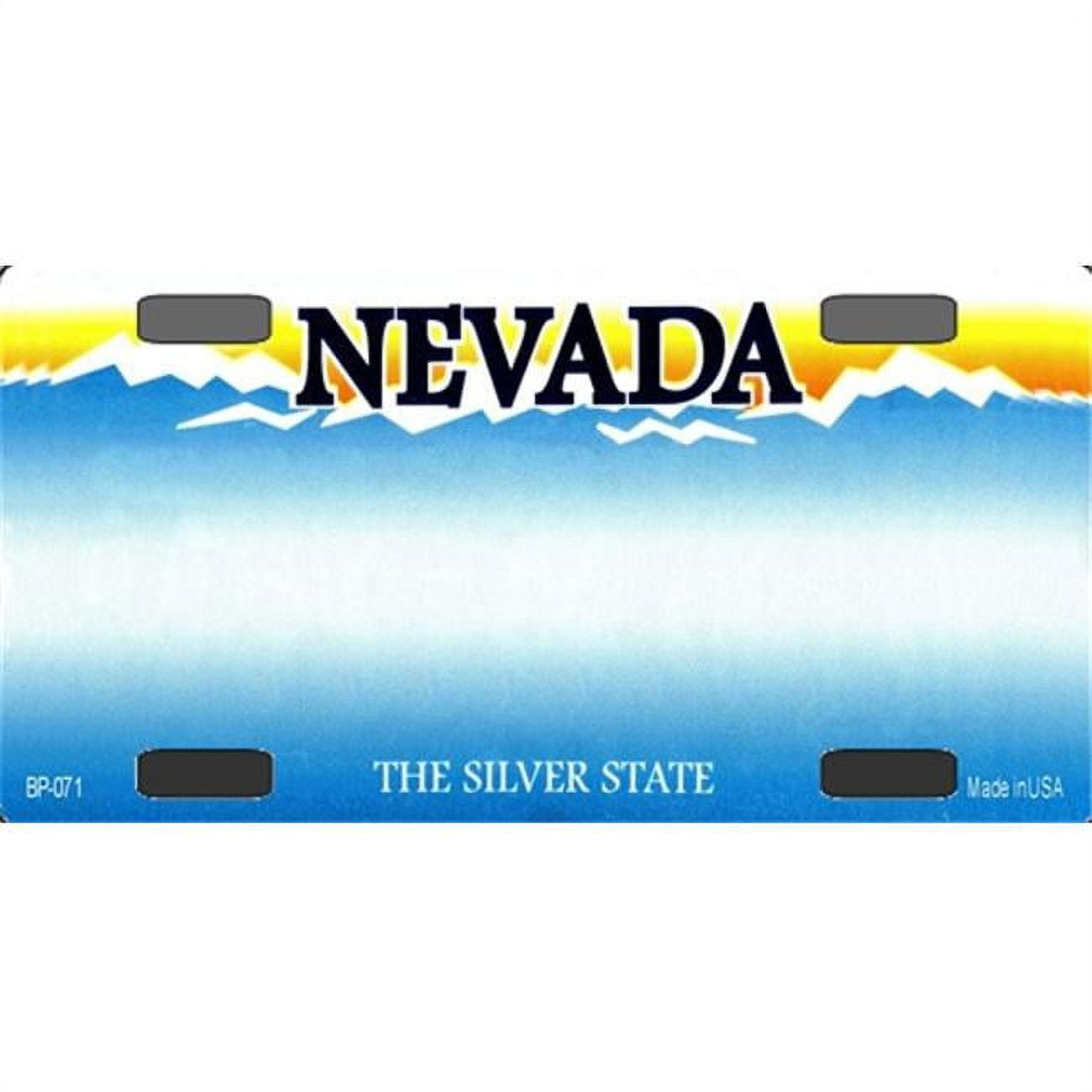 BP-072 New Hampshire State Background Blanks Flat- Bicycle License ...