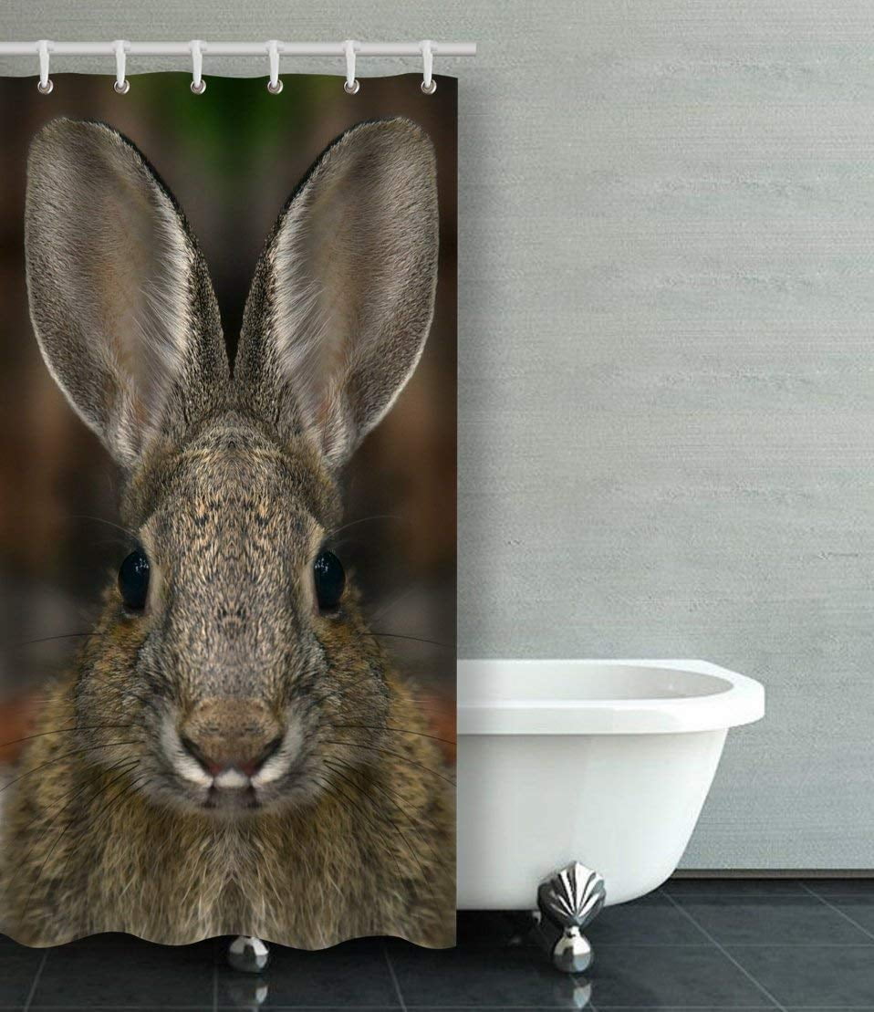 BPBOP Bunny Rabbit Shower Curtain Bathroom Curtain 36x72 inches ...