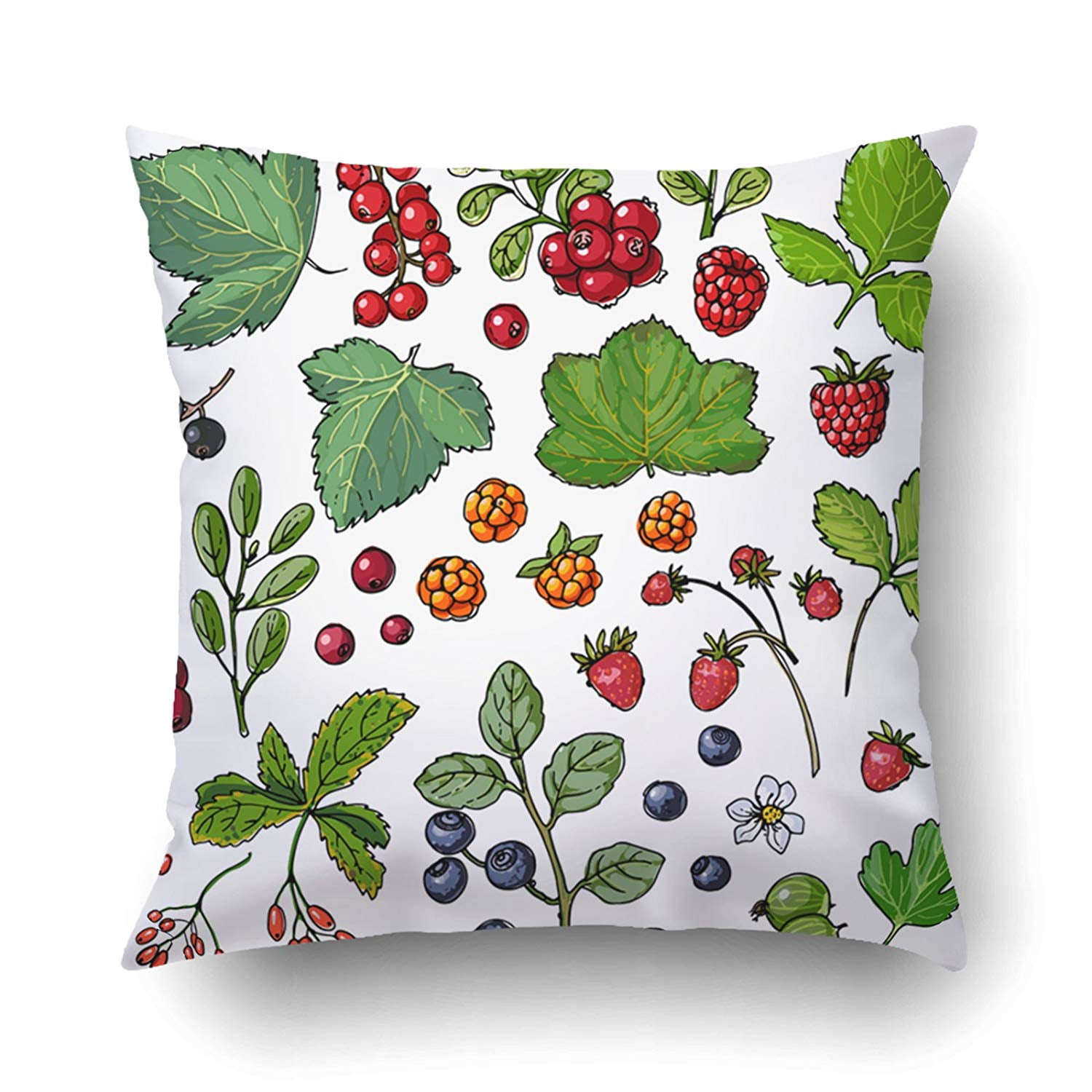 BPBOP Set Of Berries And Leaves Wild Painted Color Line On White ...
